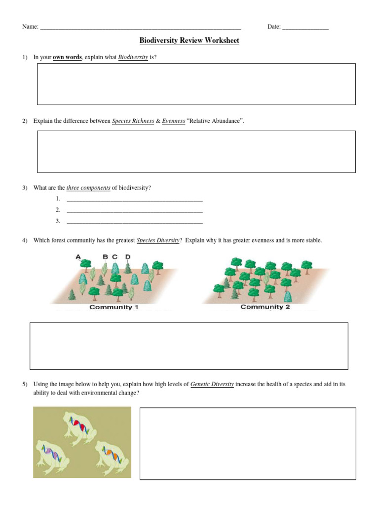 Biodiversity Review Worksheet (E) | PDF