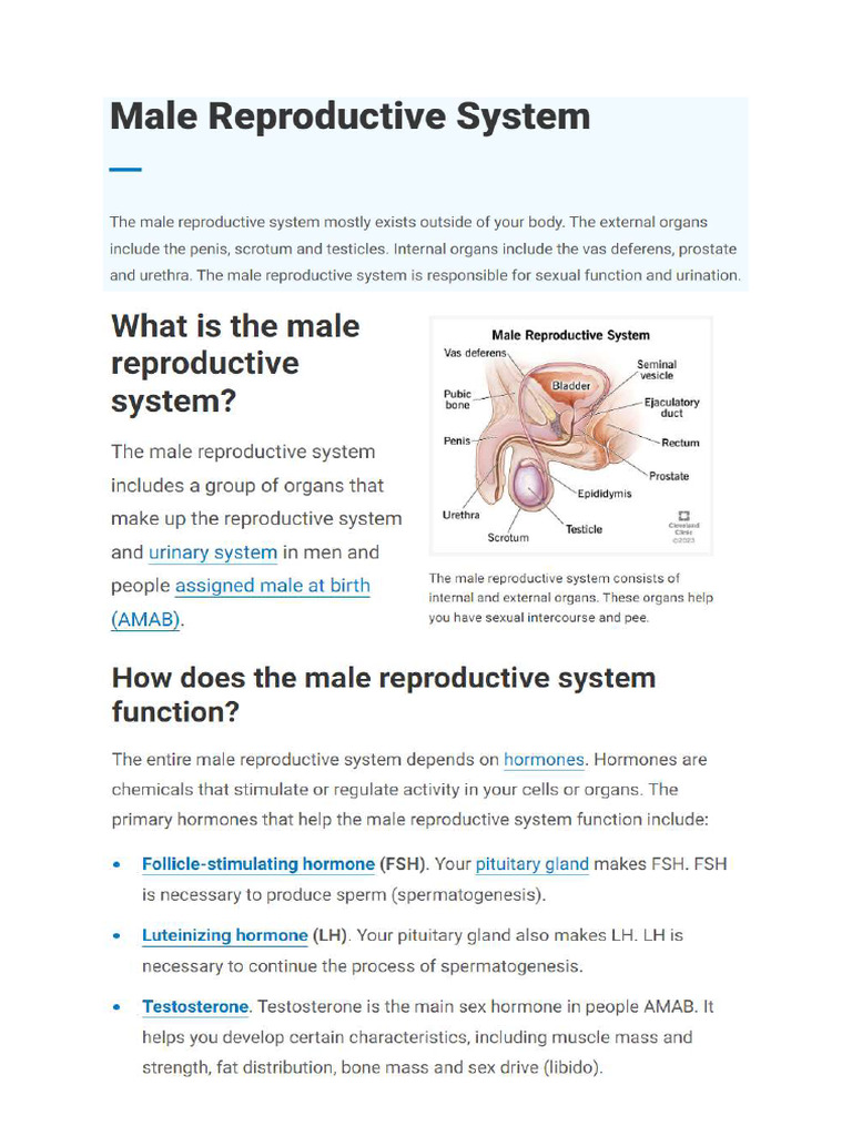Nicholas - Review On Male & Female Reproductive System | PDF