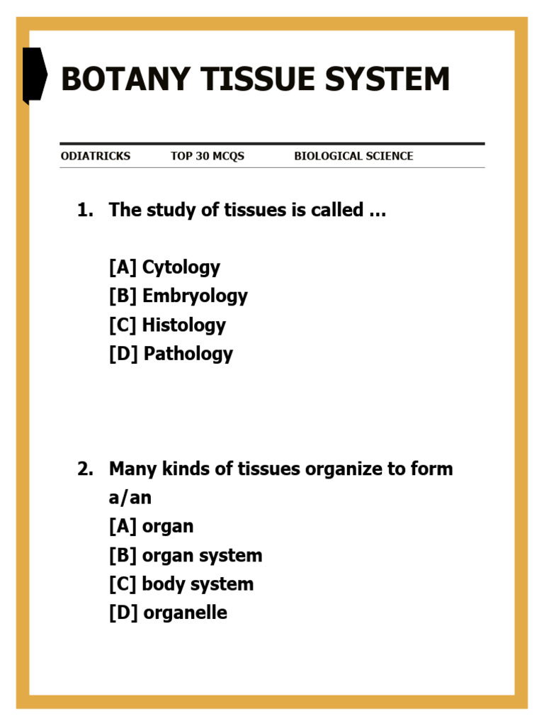 Plant Tissue System MCQS | PDF | Tissue (Biology) | Plant Stem