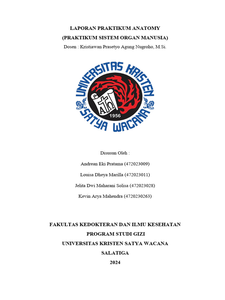 Anatomi Usus Halus: Duodenum, Jejunum, Ileum | PDF