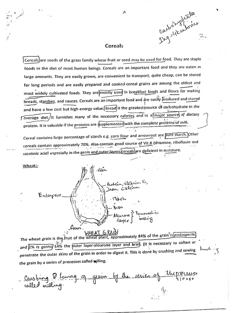 Food And Nutrition Cooking Methods Pdf