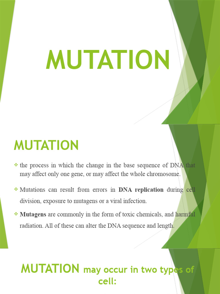 Mutation Biodiversity | PDF | Mutation | Point Mutation
