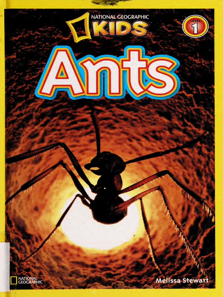 Ants | PDF | Ant | Pupa