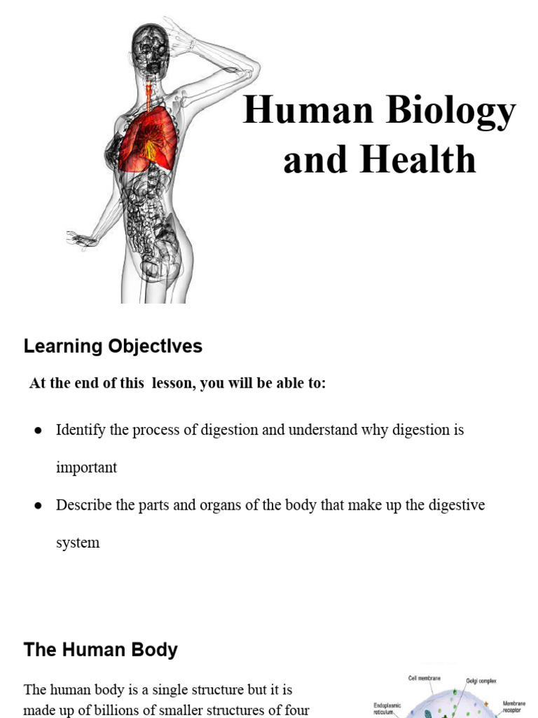 Human Biology and Health | PDF