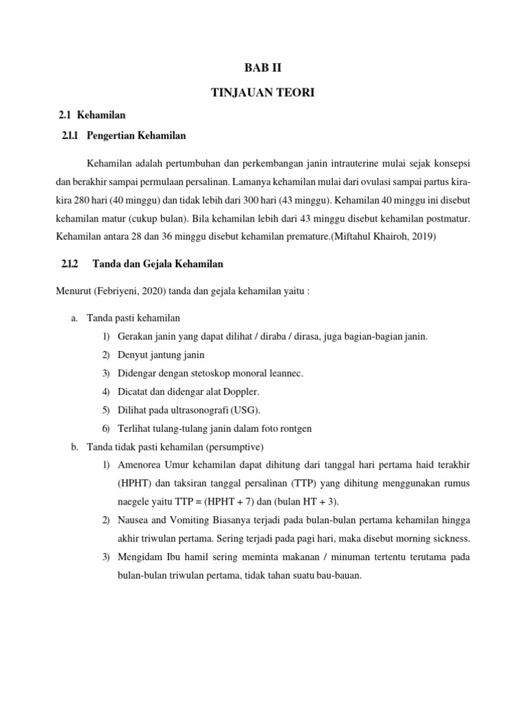 BAB II TINJAUAN TEORI-converted-compressed | PDF | Kesehatan Holistik