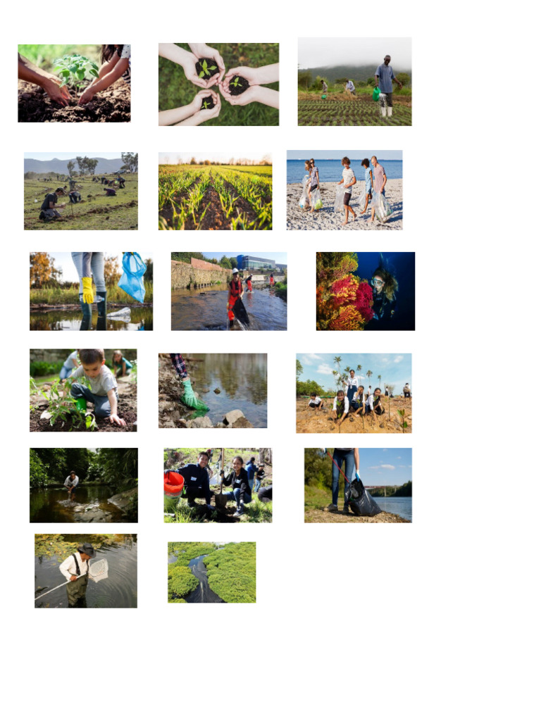 Landforms and Bodies of Water | PDF