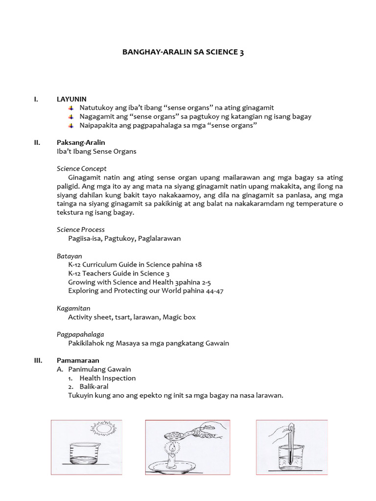 Demo Lesson Plan Science 3 | PDF
