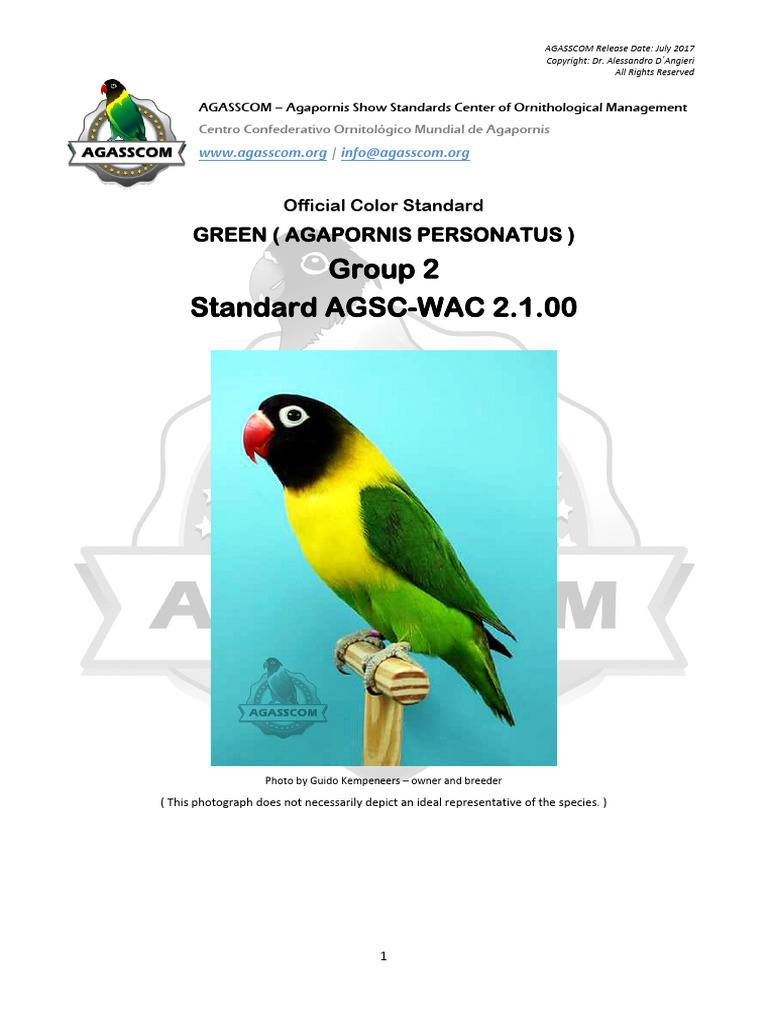 Agasscom Standards Agapornis Personatus English | PDF | Birds | Feather