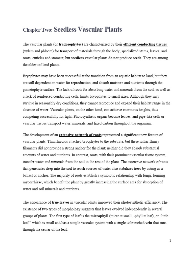 Chapter 2 Seedless Vascular Plants Pdf Leaf Fern 4458