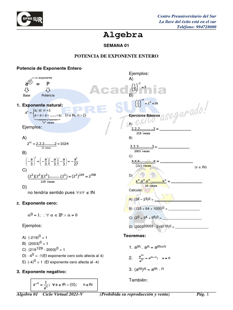Potencias y Exponentes en Álgebra | PDF