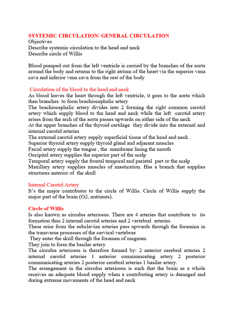Systemic Circulation Pdf Vein Common Carotid Artery