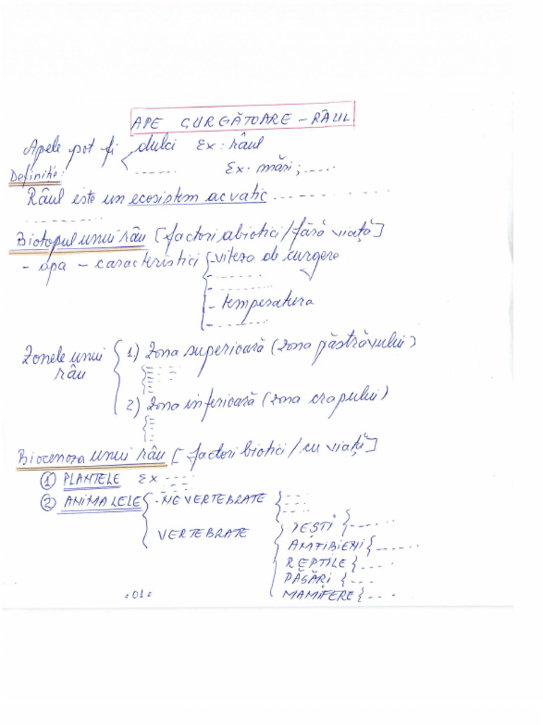 Ape Curgatoare - Raul - Schita Lectiei | PDF