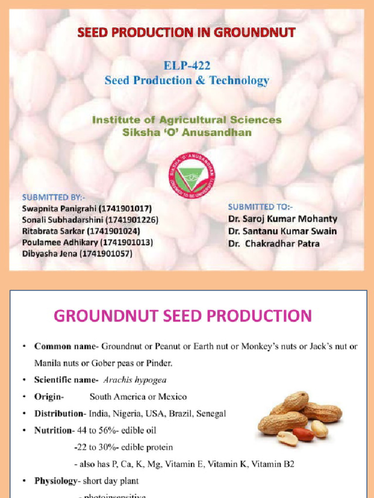 Groundnut 2 Pdf