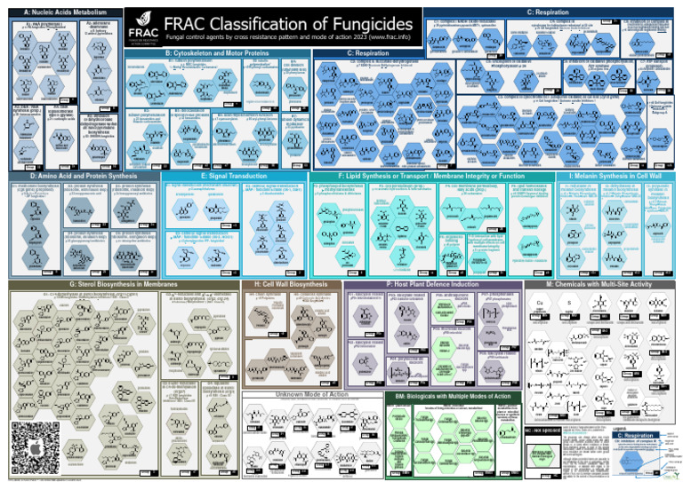 frac-moa-poster-2023 | PDF | Biosynthesis | Cell Membrane