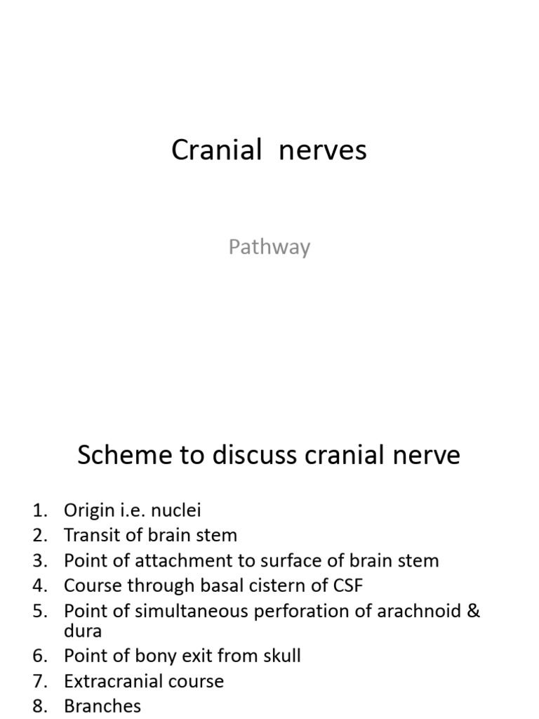 Cranial Nerves Pathway | PDF