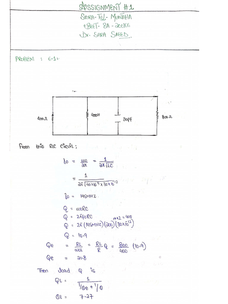Assignment 1 Mico | PDF