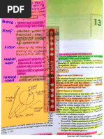 Extraocular Muscles & Ocular Motility Guide | PDF | Anatomical Terms Of ...
