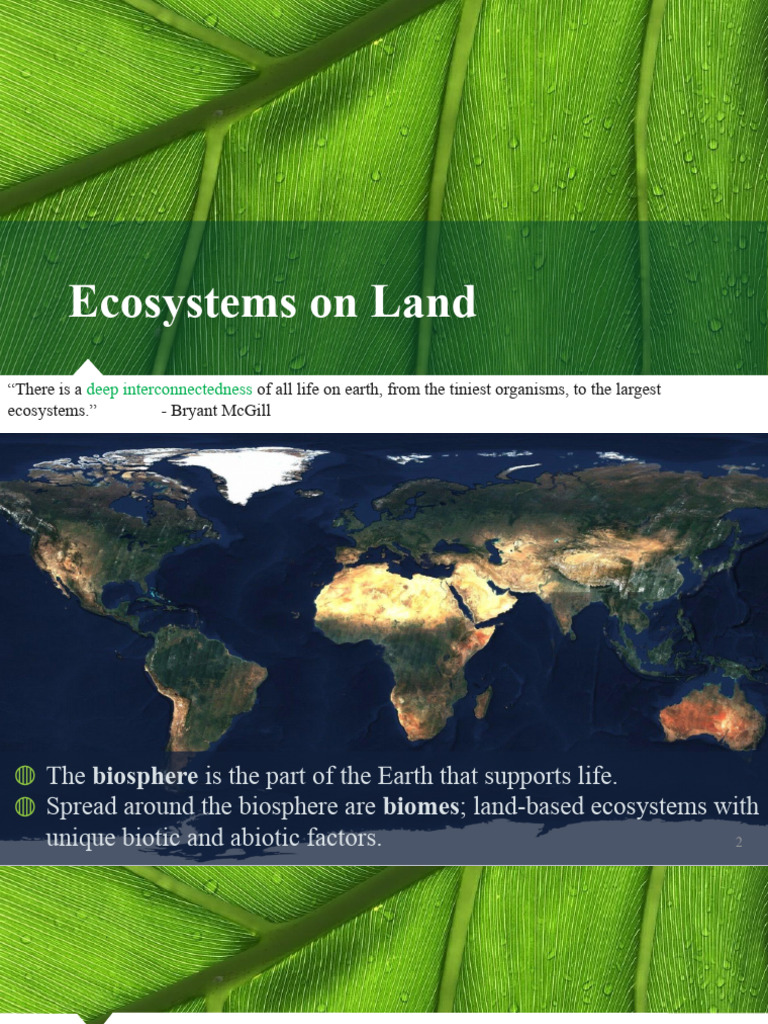 Land Ecosystems and Ecological Succession | PDF | Forests | Precipitation
