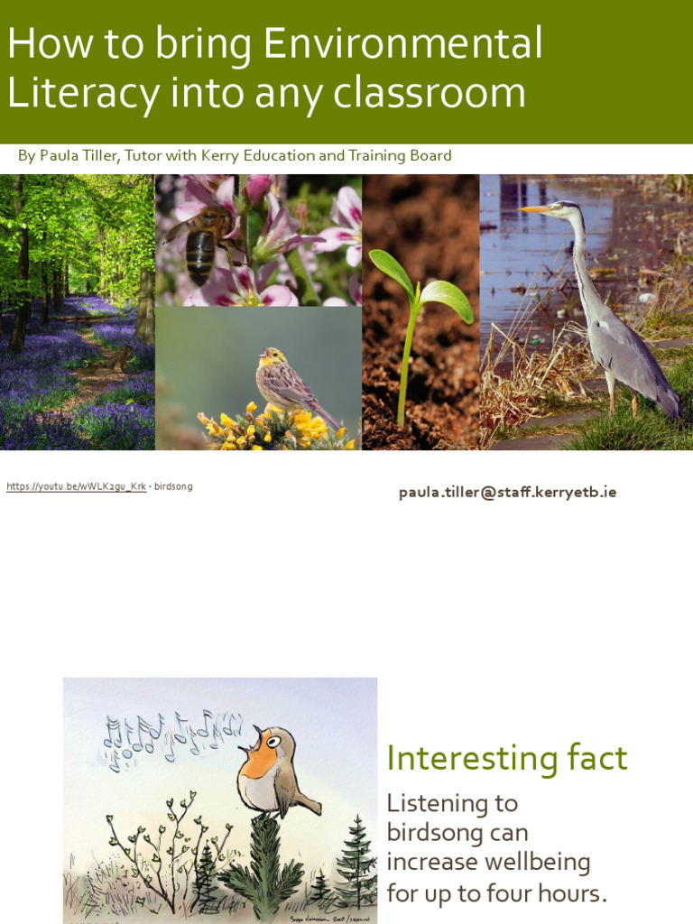 Environmental Literacy In-Service 2020 | PDF | Literacy | Experience