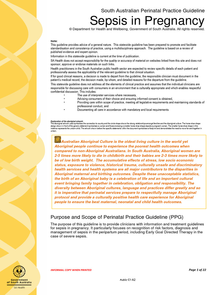 Sepsis+in+Pregnancy PPG v3 1 | PDF | Sepsis | Streptococcus