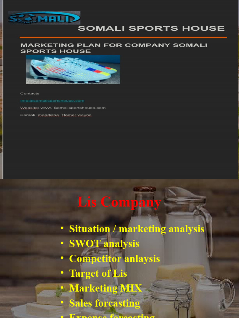 Lis Company Marketing Analysis Report | PDF | Marketing | Economic Growth