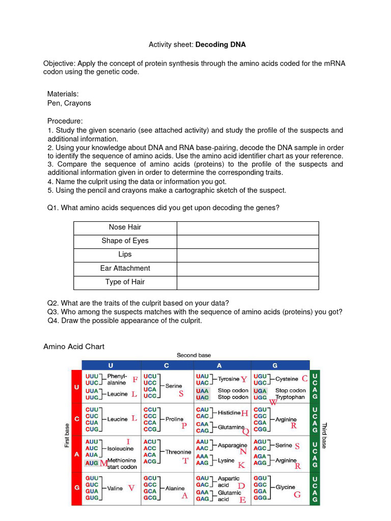 GX - 4 Activities - Central Dogma Protein Synthesis | PDF | Dna ...