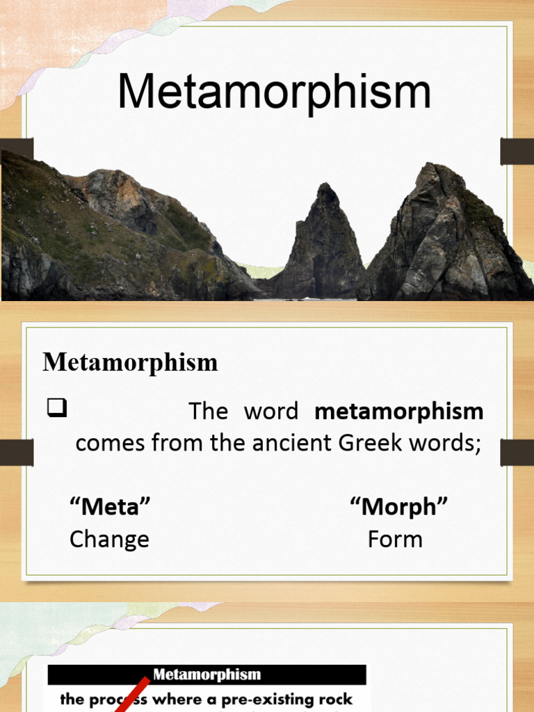 Metamorphis M | PDF | Social Science