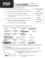 Specialised Cells Worksheet | PDF | Cell (Biology) | Blood