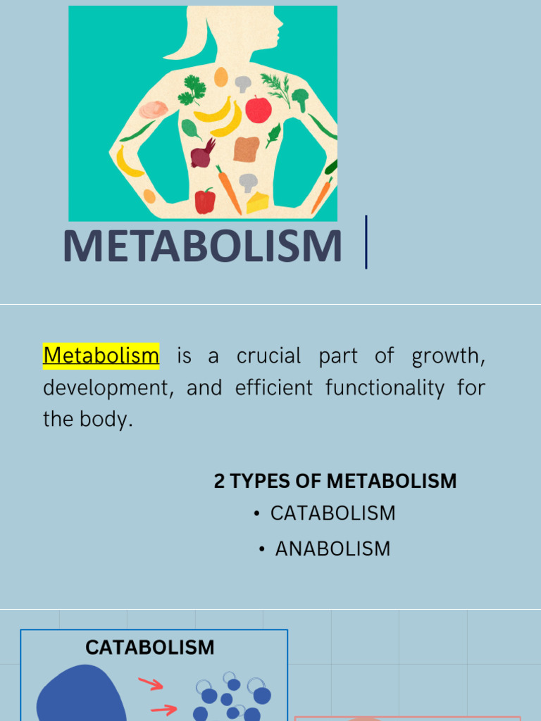 METABOLISM | PDF
