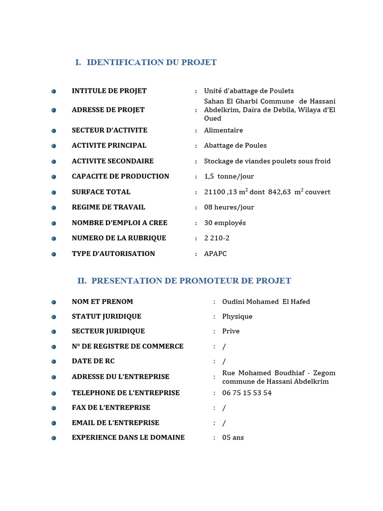 Identification Du Projet | PDF