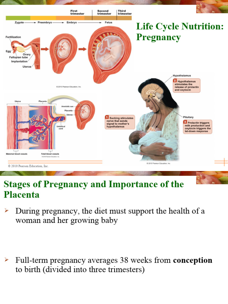 Life Cycle Nutrition | PDF | Breastfeeding | Breast Milk Life Cycle Nutrition | PDF | Breastfeeding | Breast Milk