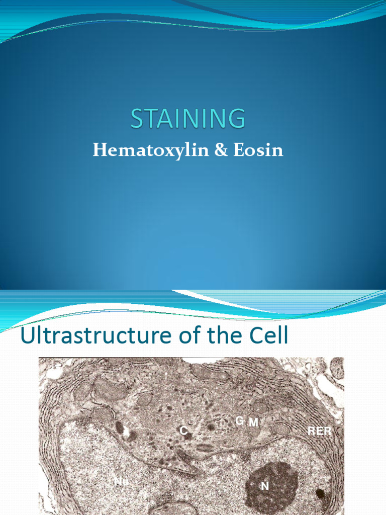 07 Staining | PDF | Staining | Dye
