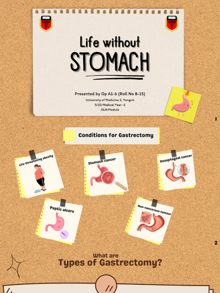 Life Without Stomach - GP A1b | PDF