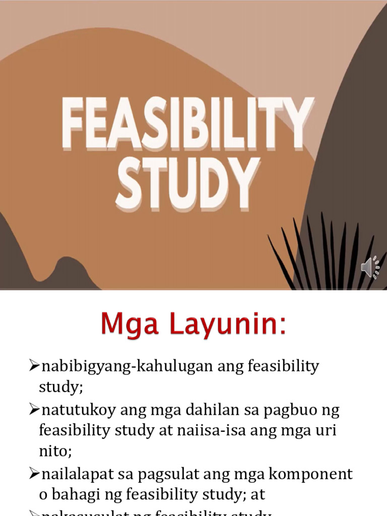 Feasibility Study | PDF