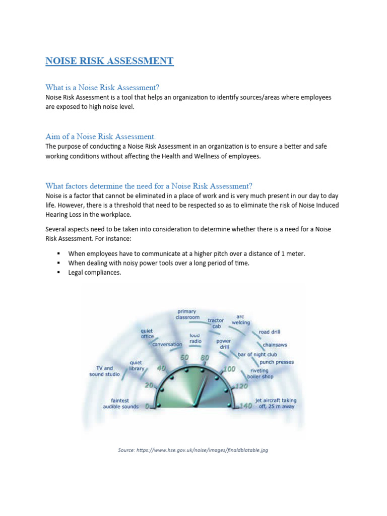 Noise Risk Assessment | PDF