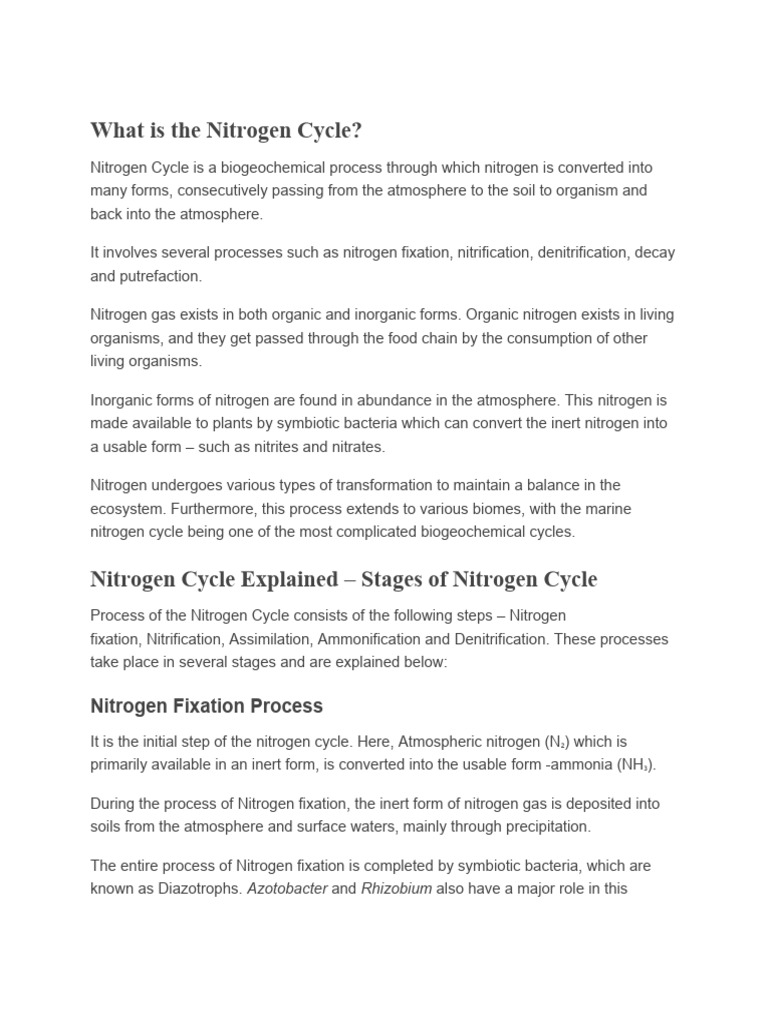 What Is The Nitrogen Cycle | PDF