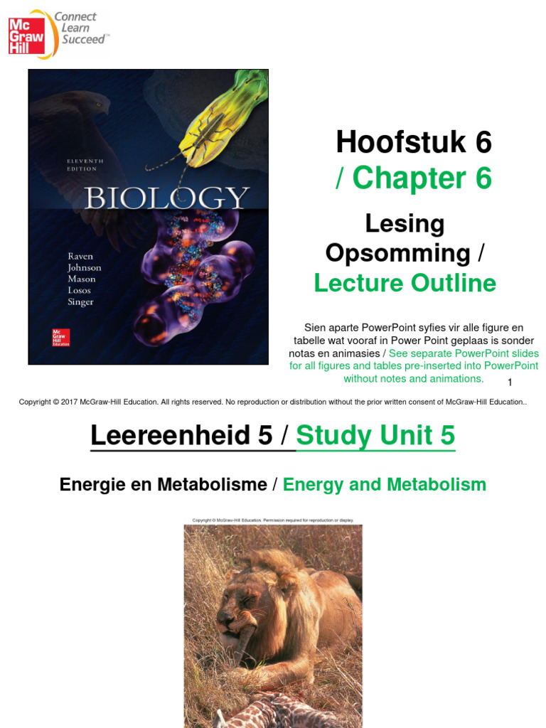 Translated+SU+5 Eng Afr Separate.6.1 | PDF | Calorie | Redox