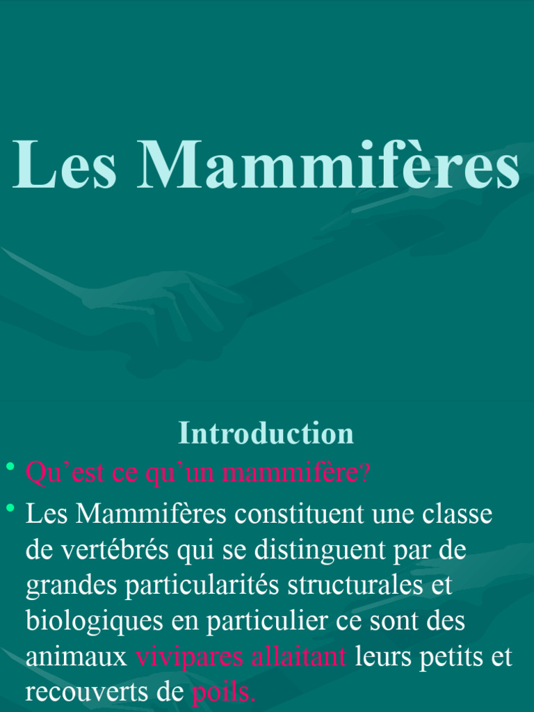 Les Mammifères 1ere Partie 2020 | PDF | Maison et jardin | Bien-être