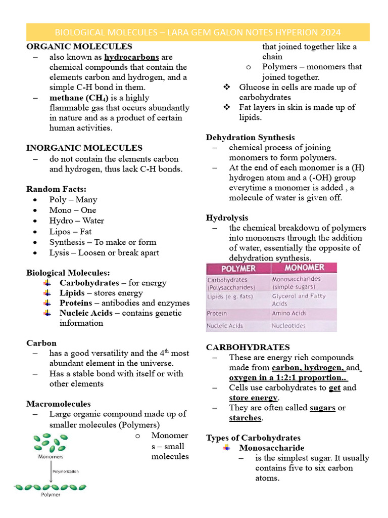 Organic Molecules | PDF | Rna | Dna