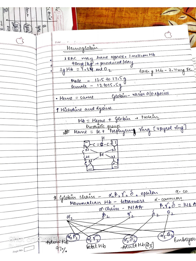 Hemoglobin Notes Pdf