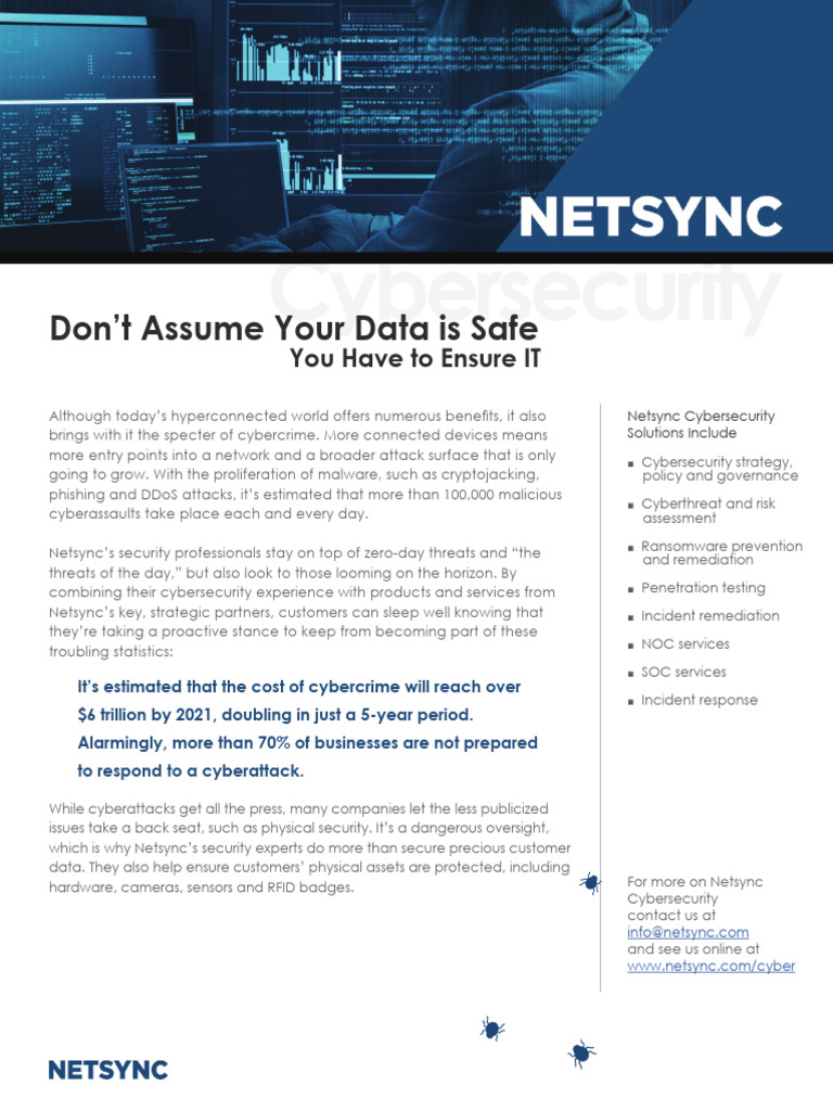 Netsync Cybersecurity | PDF | Security | Computer Security