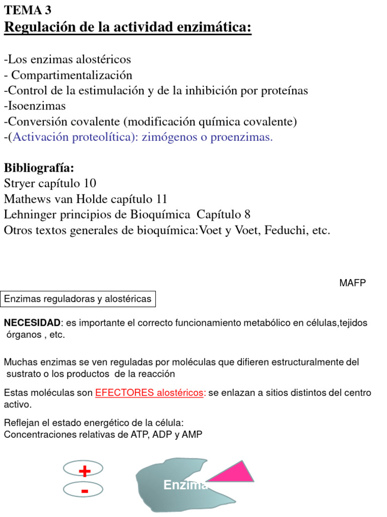 Regulación de La Actividad Enzimática:: Activación Proteolítica ...