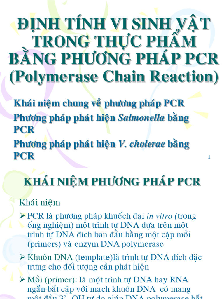 3.phuong Phap PCR | PDF