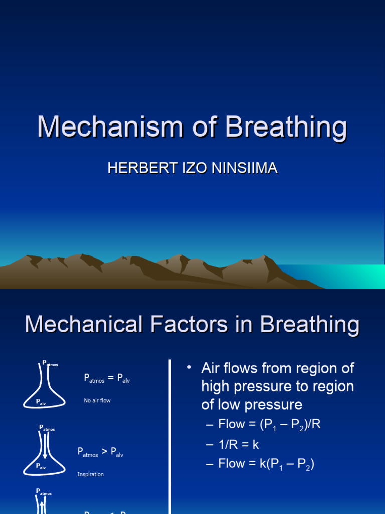 Mechanics Of Breathing Pdf Respiratory Tract Respiratory System