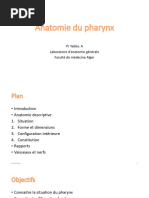 Anatomie Du Cavum | PDF | Tête et cou chez l'humain | Anatomie humaine