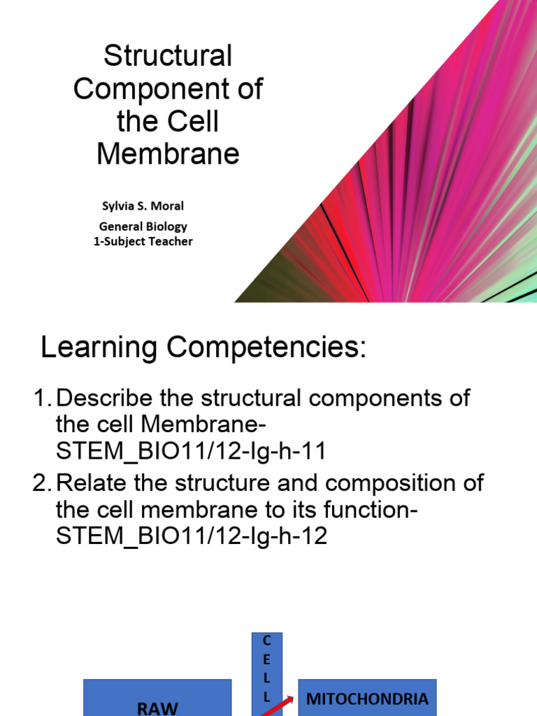 Structural Components of The Cell Membrane | PDF | Cell Membrane | Cell ...