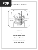 Overview of Splanchnology and Viscera | PDF | Abdomen | Human Digestive ...