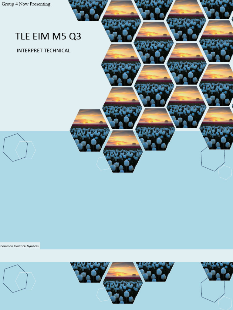 TLE EIM M4 Presentation (Autosaved) | PDF