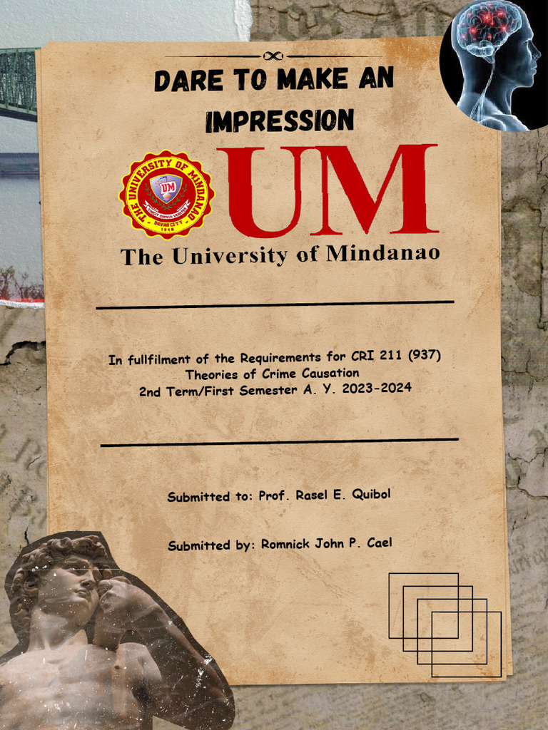 Final Project CRI 211 | PDF | Pleasure | Id