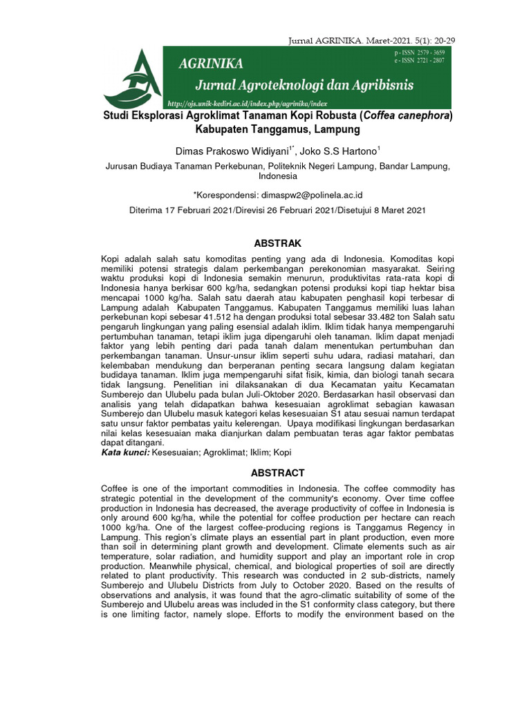 Kopi Robusta Lampung | PDF